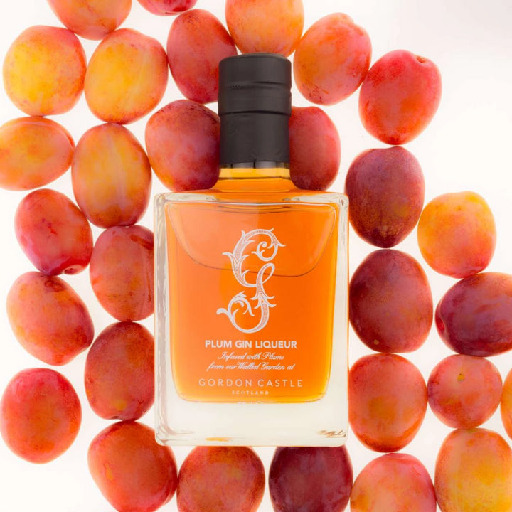Plum Gin by Gordon Castle – Gordon Castle Scotland