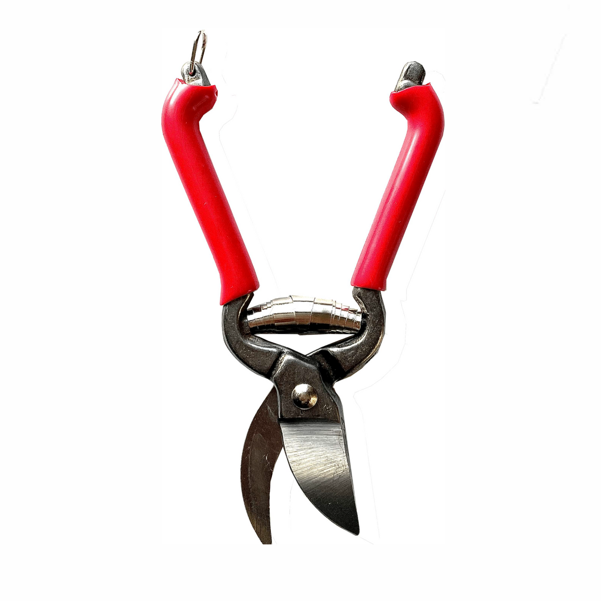 Red Mini Pruners – Gordon Castle Scotland